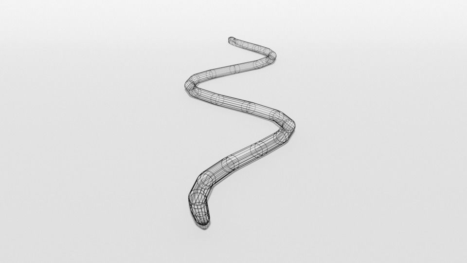 3D model Low Poly Cartoon Coral Snake VR / AR / low-poly | CGTrader