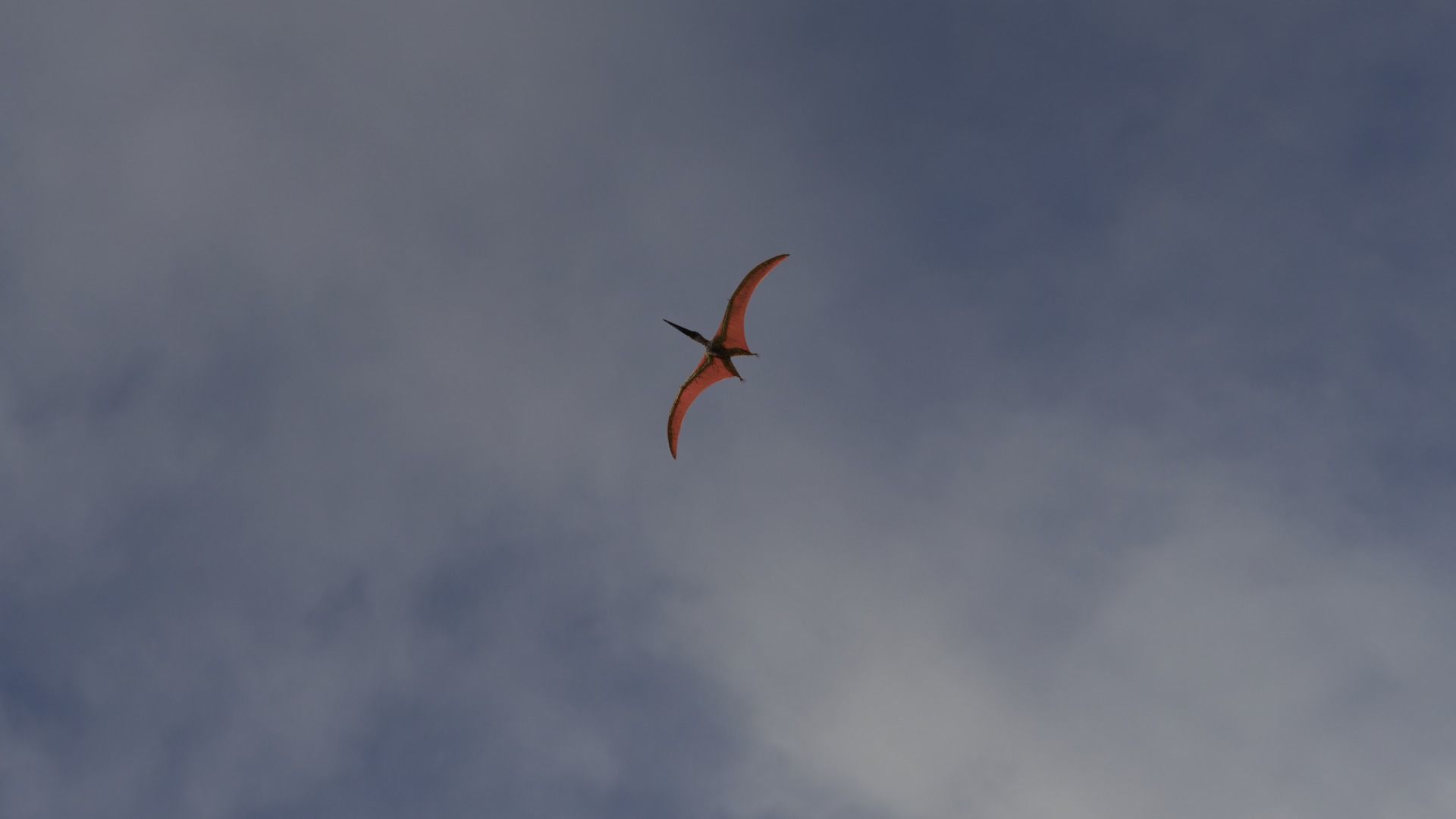 3D model Pterodactyl VR / AR / low-poly | CGTrader