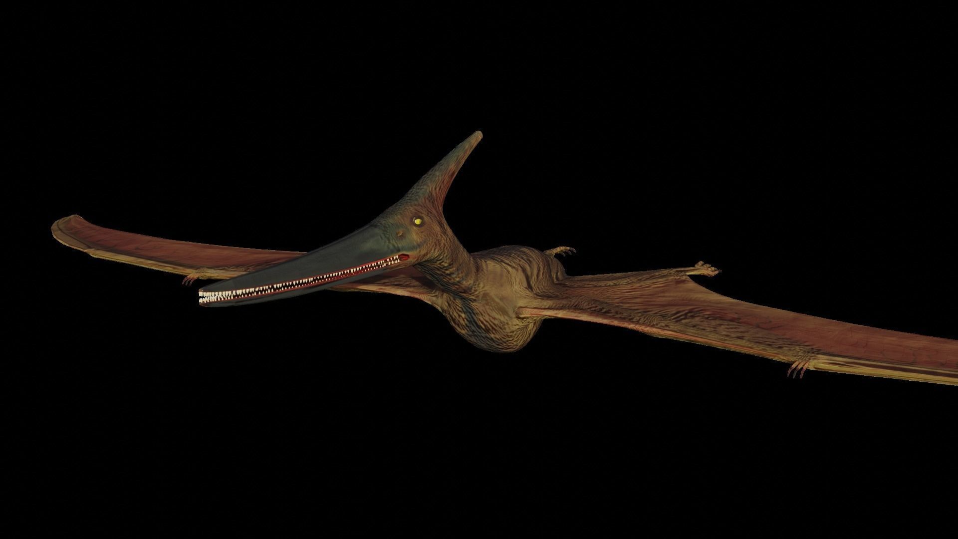3D model Pterodactyl dinosaur flying in air VR / AR / low-poly | CGTrader