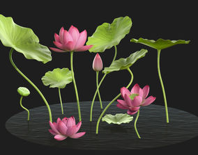 Lotus 3D Models | CGTrader
