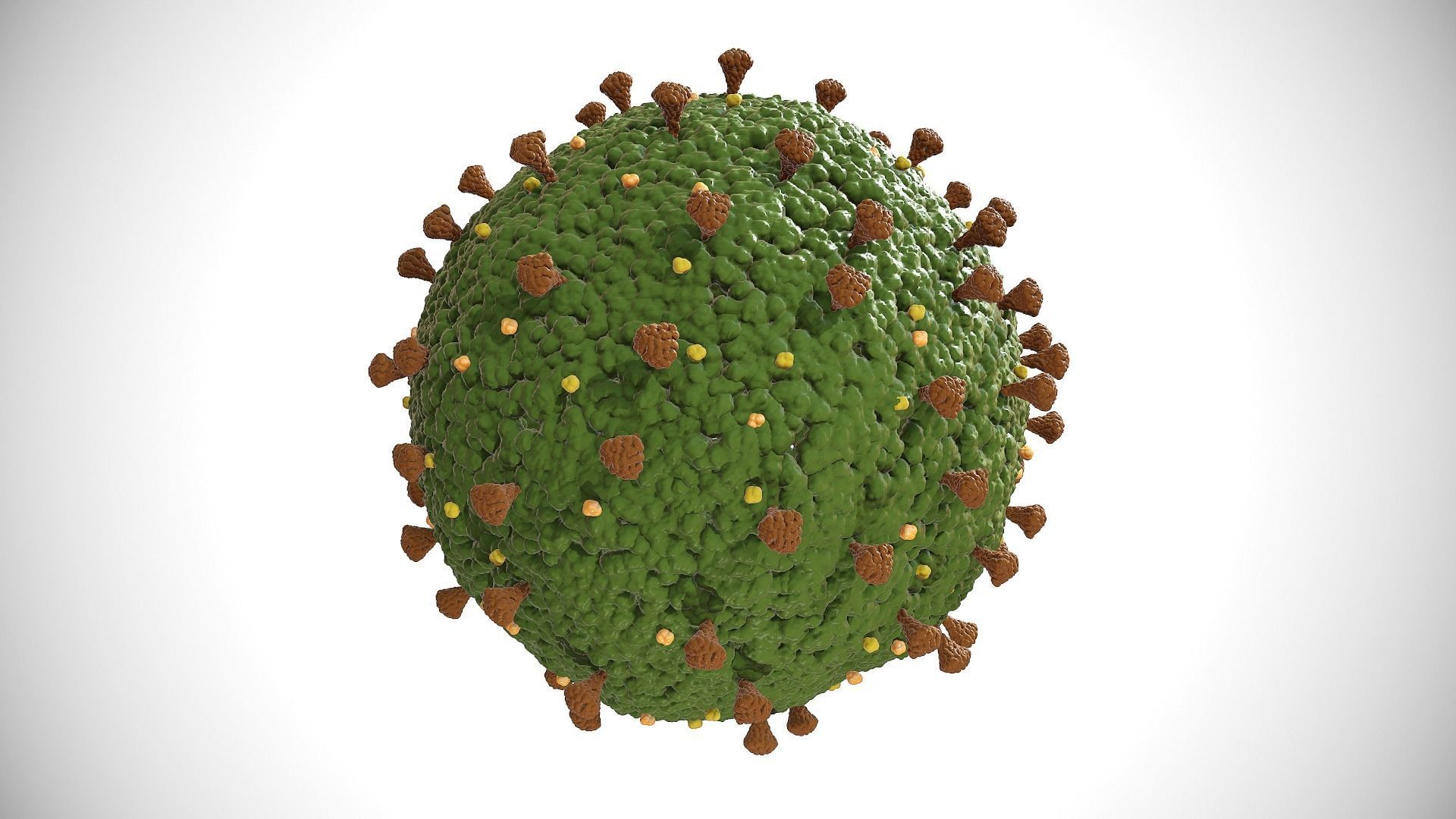 Covid-19 Virus 3D model
