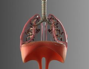 Animated Cartilage 3D Models | CGTrader