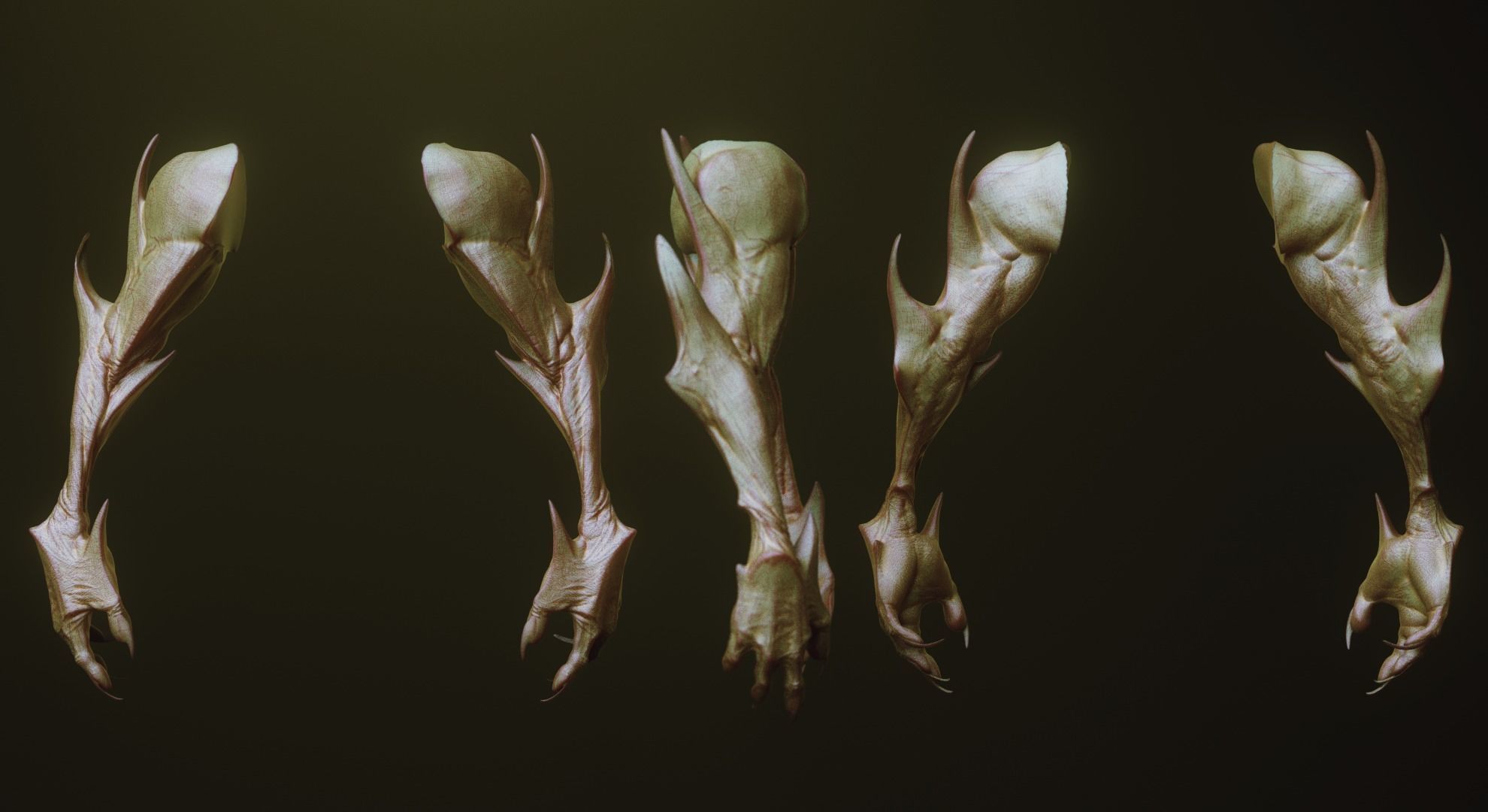 ARMS - 33 Creature arms OBJs and Zbrush IMM 3D model | CGTrader