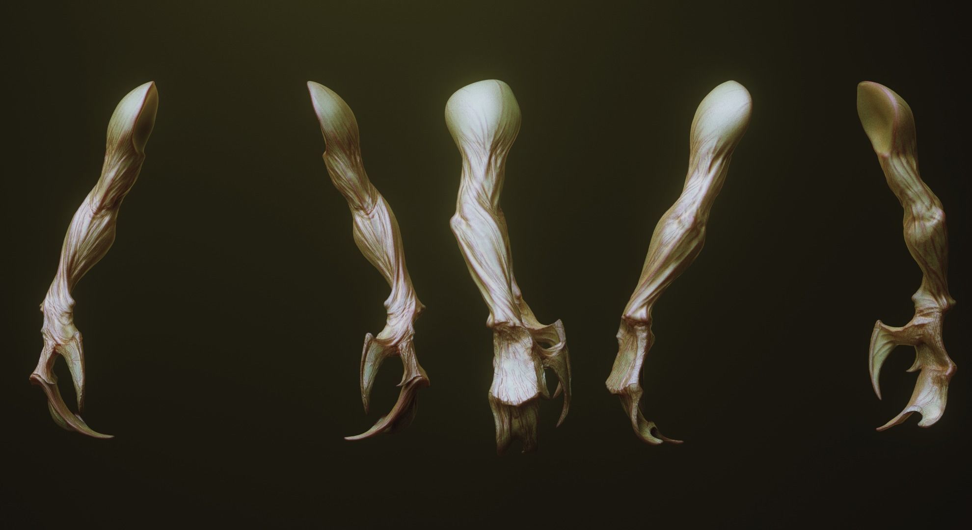 ARMS - 33 Creature arms OBJs and Zbrush IMM 3D model | CGTrader