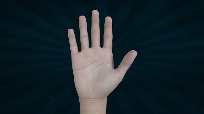 3D model HAND-006 Rigged Right Hand VR / AR / low-poly rigged | CGTrader
