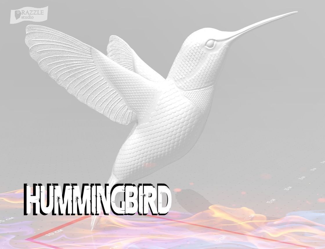 Elegant hummingbird 3D model 3D printable | CGTrader