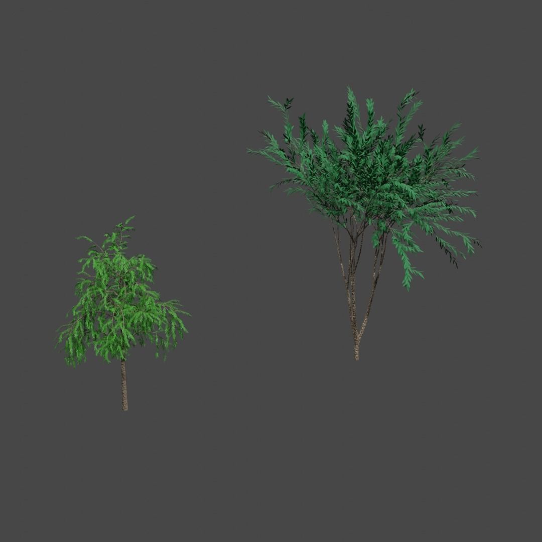 Tree asset 3 3D model | CGTrader