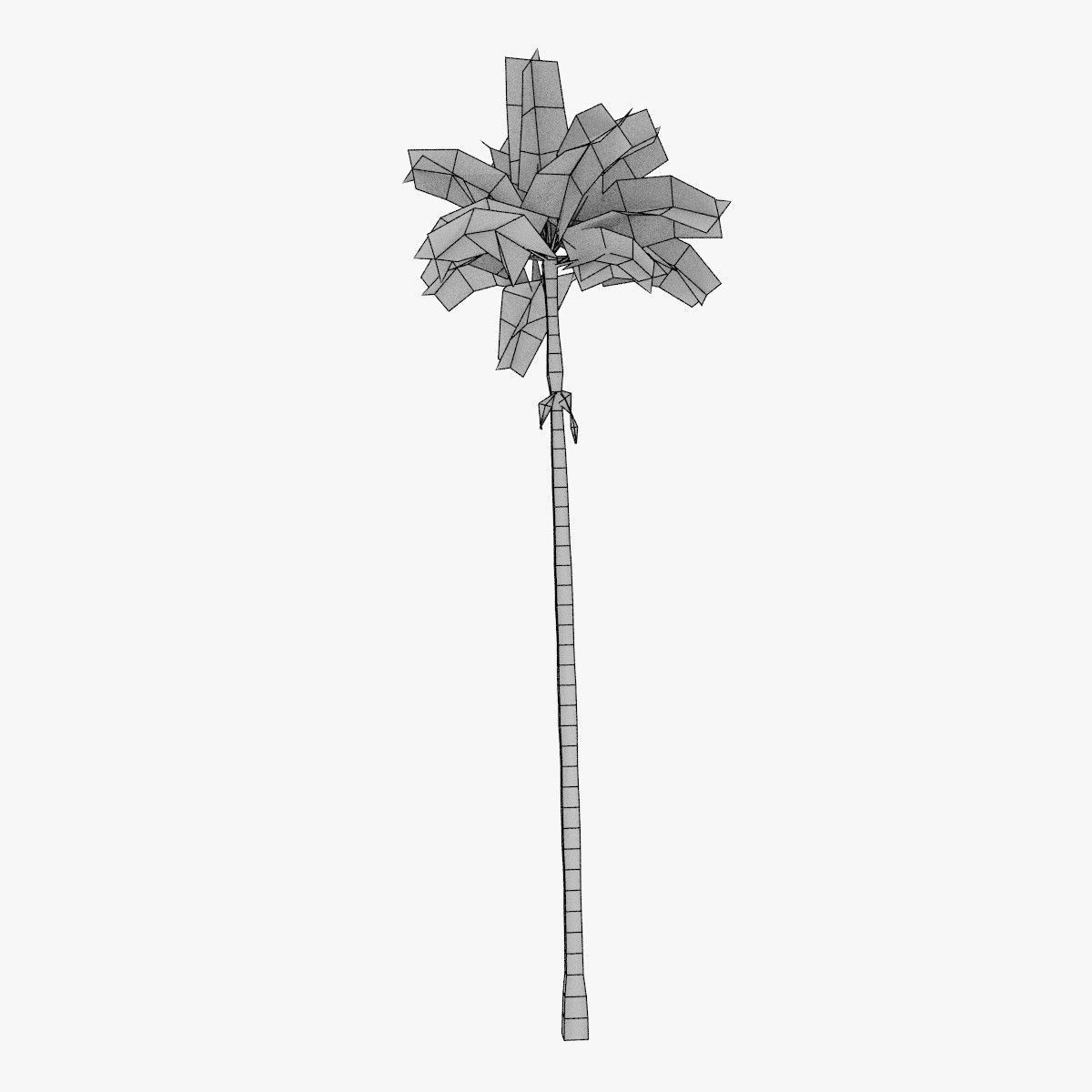 3D model Florida Royal palm tree 01 - Low Poly VR / AR / low-poly ...