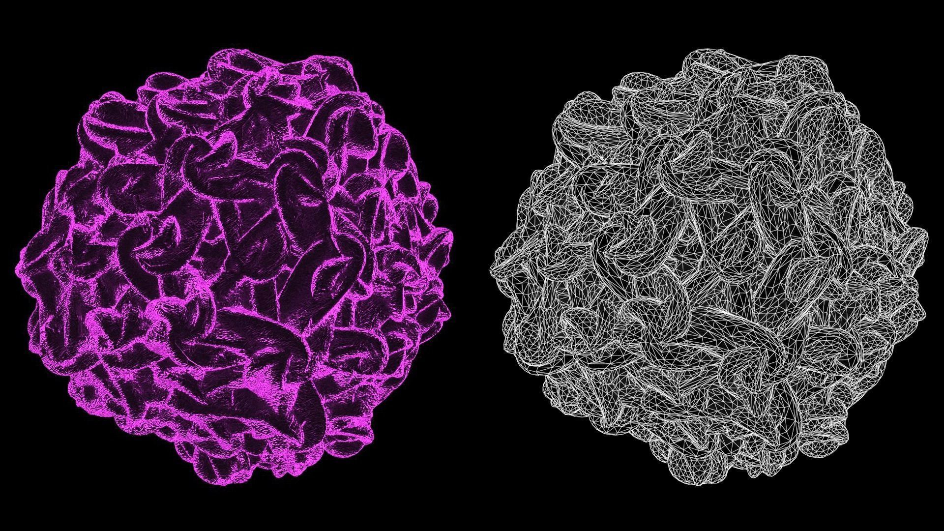 Pack of 24 Alien Virus Bacteria Macrophage Sci Fi Collection 3D model ...