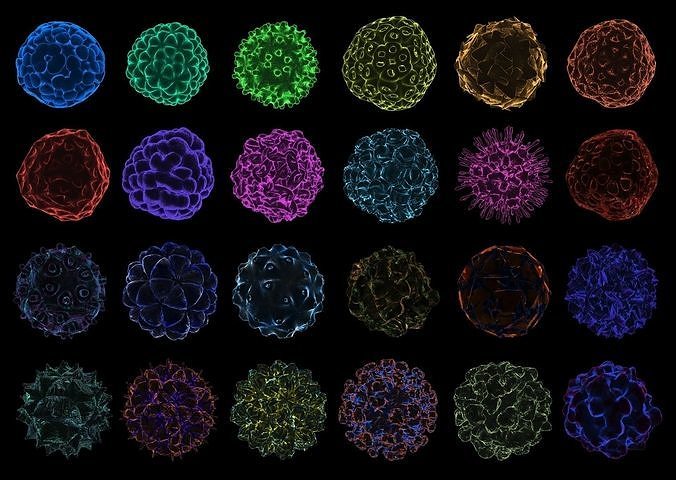Pack of 24 Alien Virus Bacteria Macrophage Sci Fi Collection 3D model ...