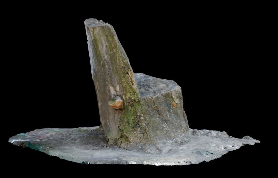 Throne - stump scan 3D model | CGTrader