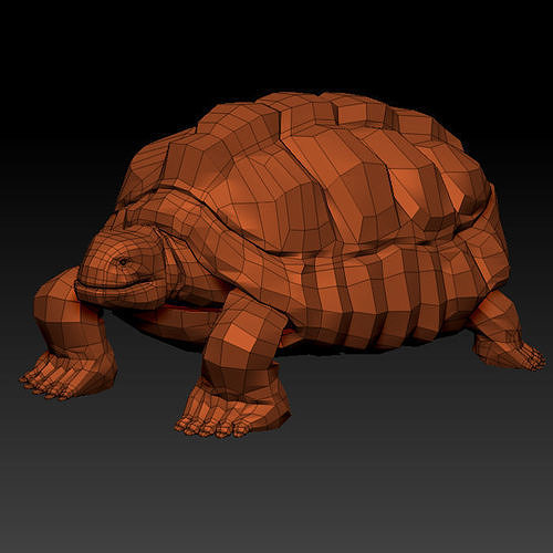 3D model 3D TURTLE - LOW POLY tortoise VR / AR / low-poly | CGTrader