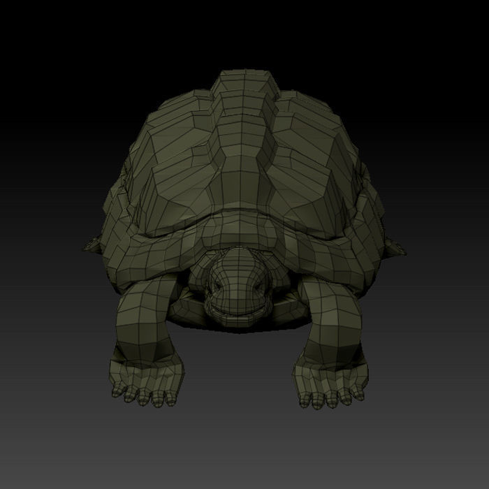 3D model 3D TURTLE - LOW POLY VR / AR / low-poly | CGTrader