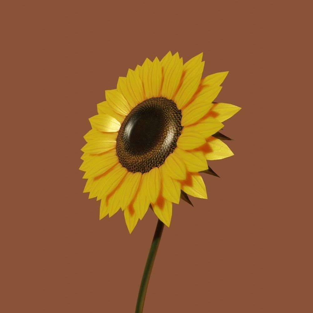 sunflower 3D model animated rigged | CGTrader