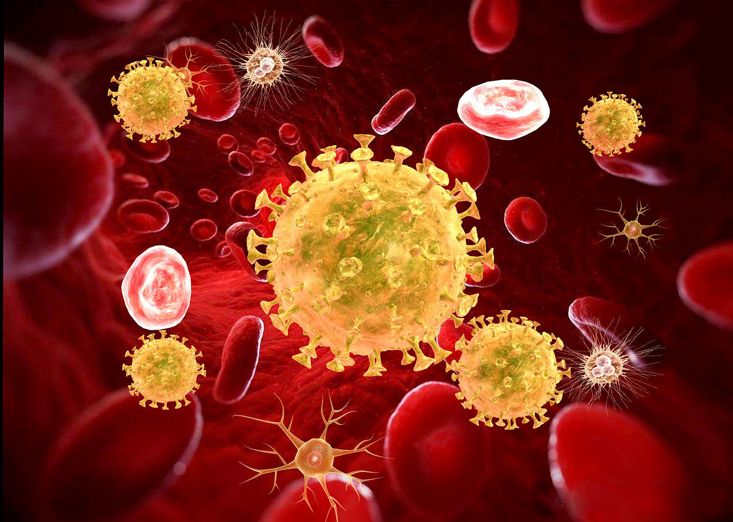 3D model animated coronavirus | CGTrader