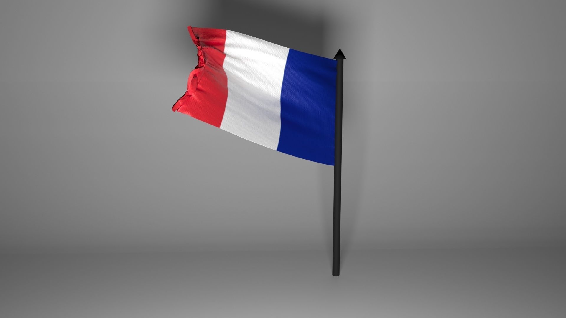 French Flag 3D model | CGTrader