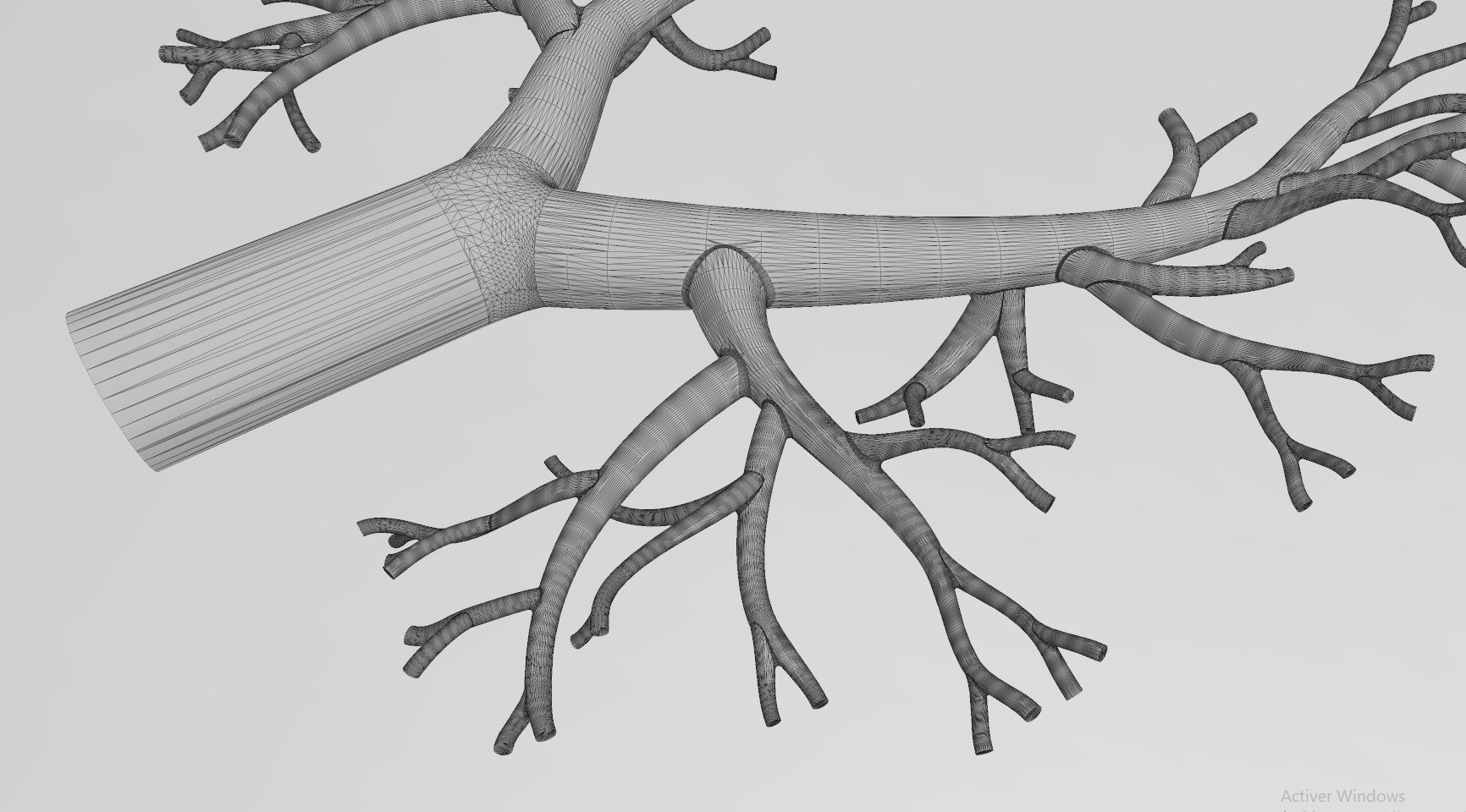 Bronchial tree 3d model for 3d printing CFD and FEA 3D model 3D ...
