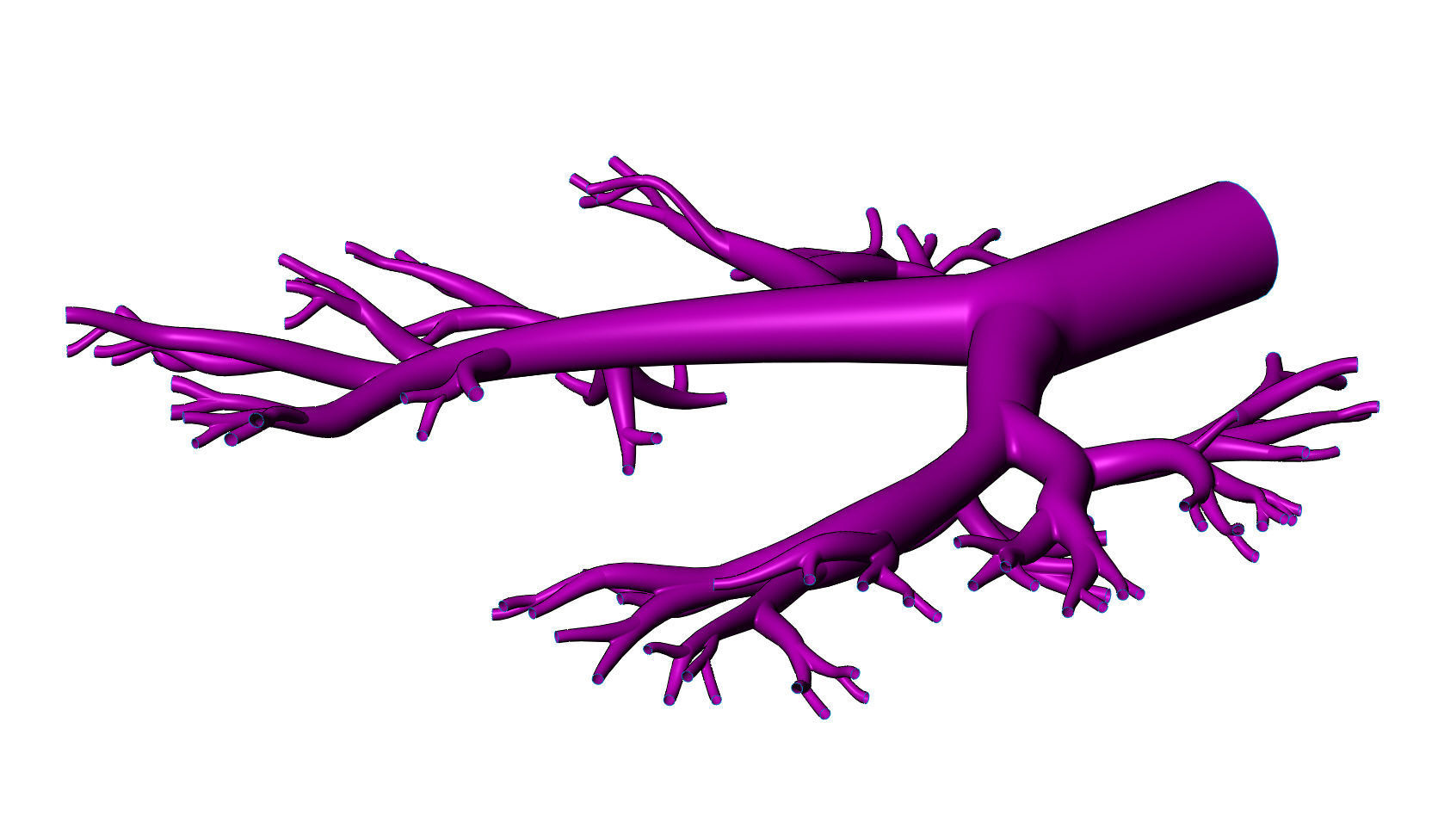 Bronchial tree 3d model for 3d printing CFD and FEA 3D model 3D ...