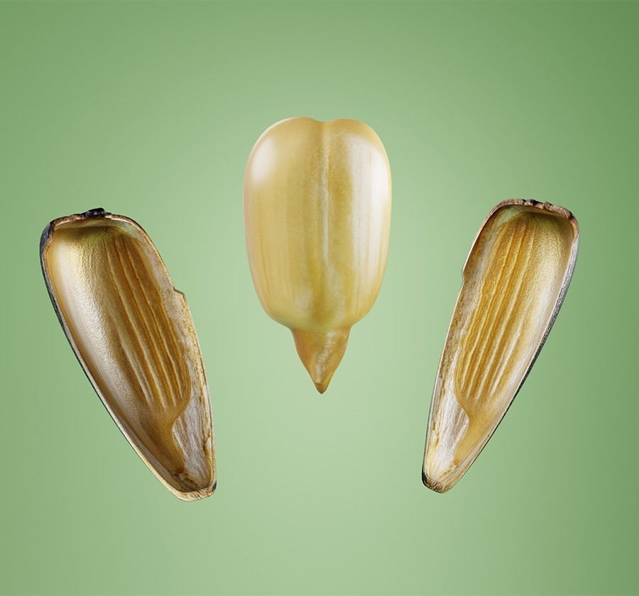 3D model Cracked Sunflower Seed Low-poly 3D model VR / AR / low-poly ...