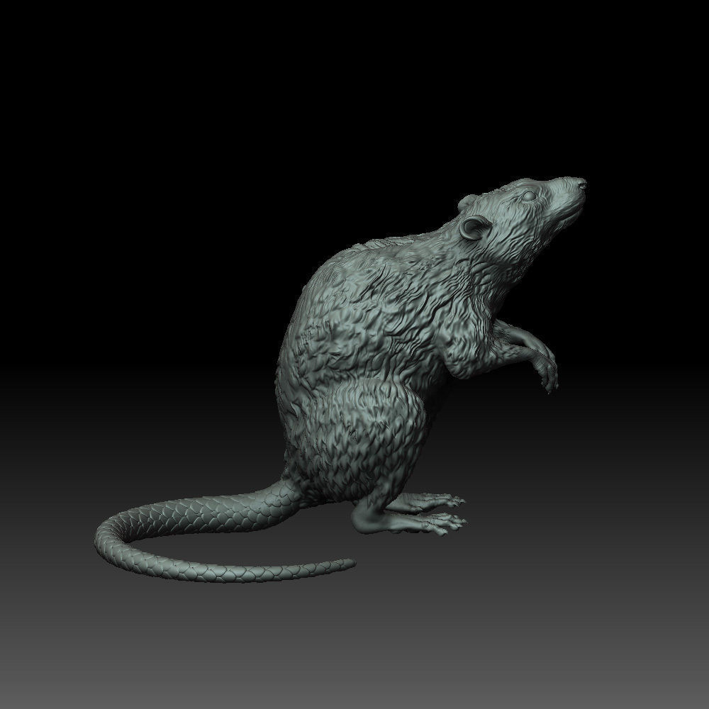 rat mouse 3D model 3D printable | CGTrader