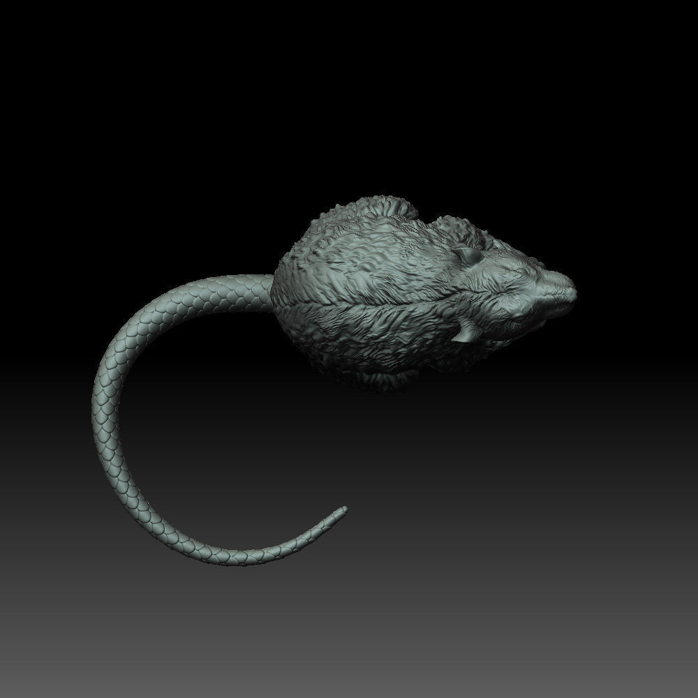 rat mouse 3D model 3D printable | CGTrader