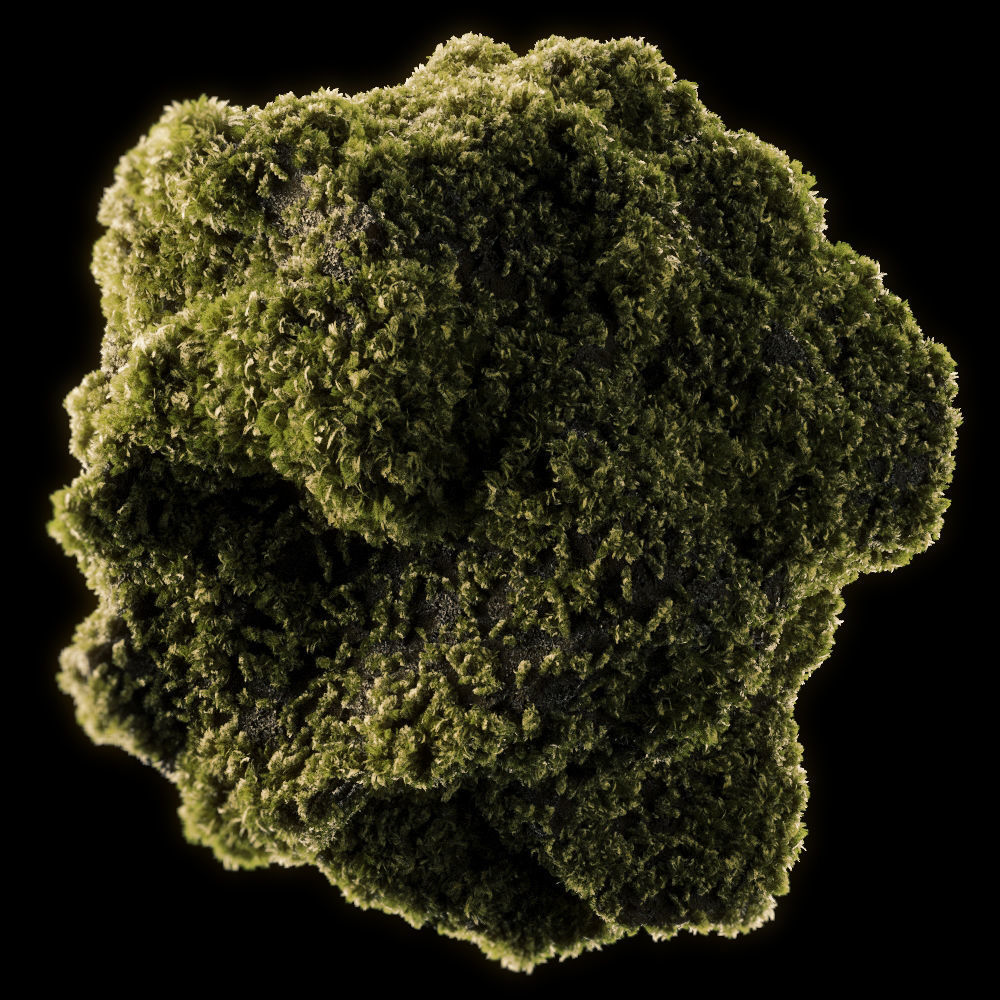 3D model Moss Low Poly 5 VR / AR / low-poly | CGTrader