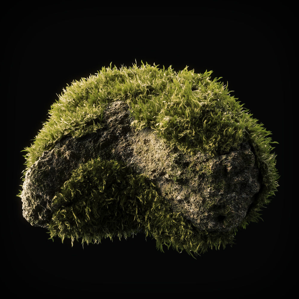 3D model Moss Low Poly 14 VR / AR / low-poly | CGTrader