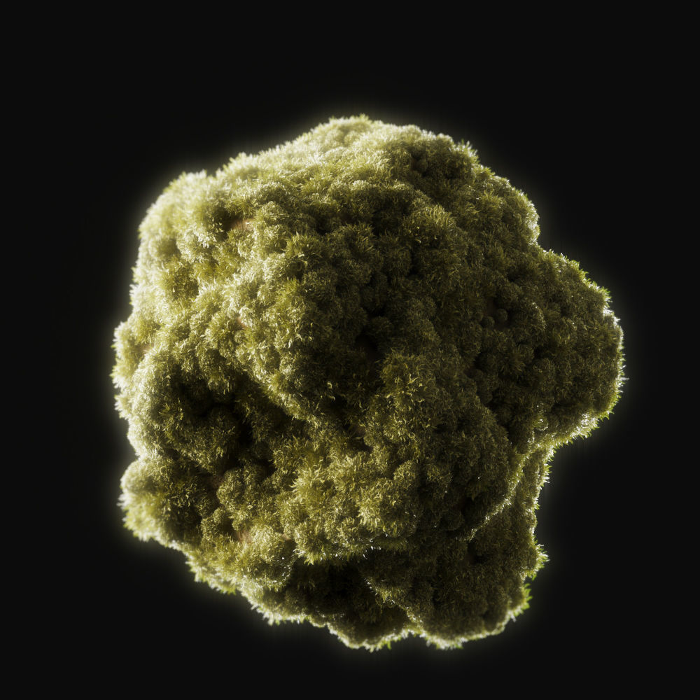 3D model Moss Sphere Low Poly 3 VR / AR / low-poly | CGTrader