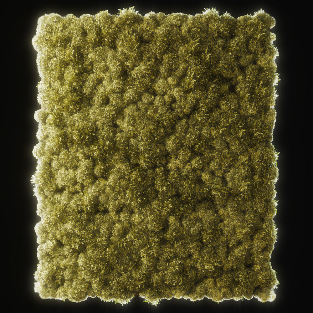 3D model Moss Sphere Set VR / AR / low-poly | CGTrader