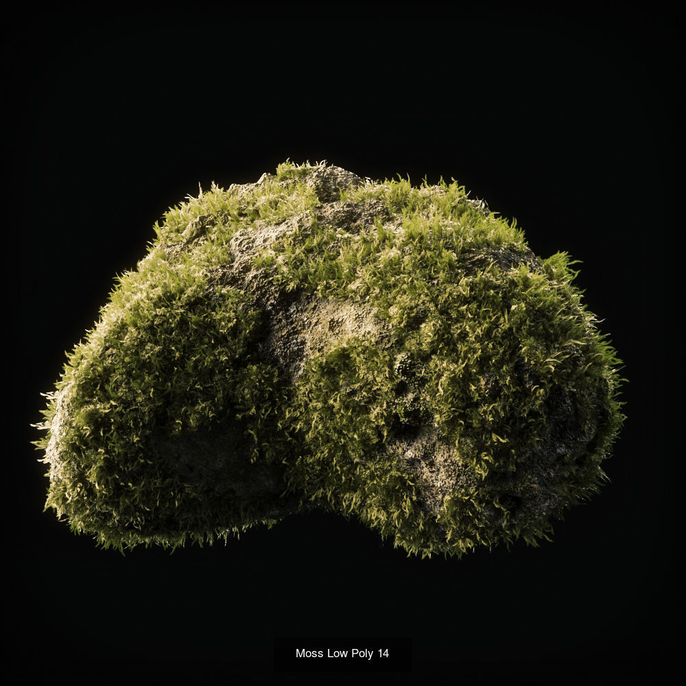 Moss Pack Low Poly 3D Model Collection | CGTrader
