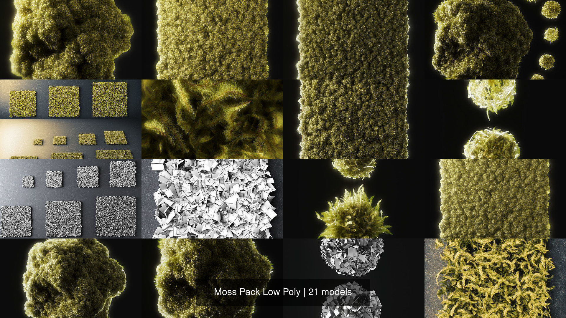 3D Model Collection Moss Pack Low Poly VR / AR / low-poly | CGTrader
