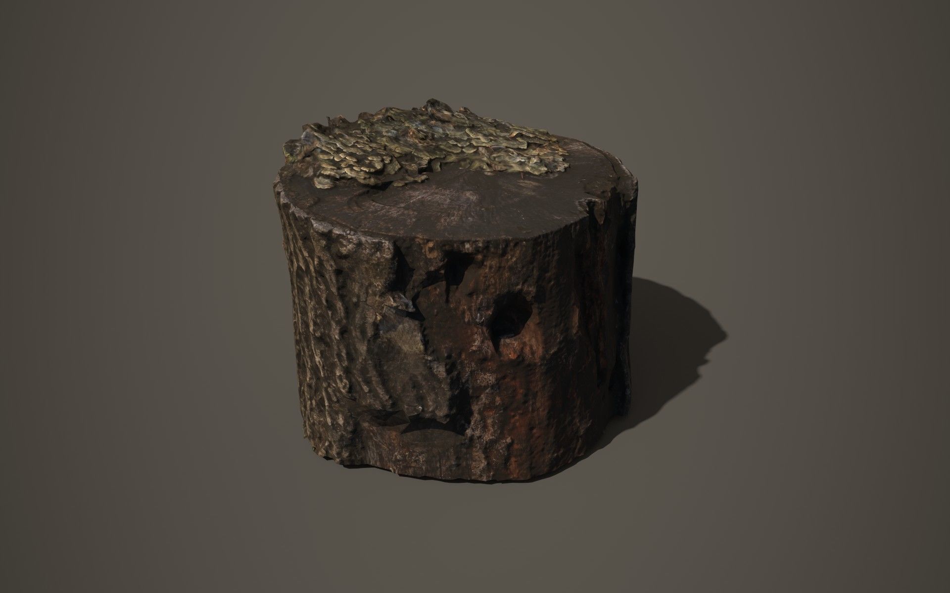3D model Tree stump VR / AR / low-poly | CGTrader