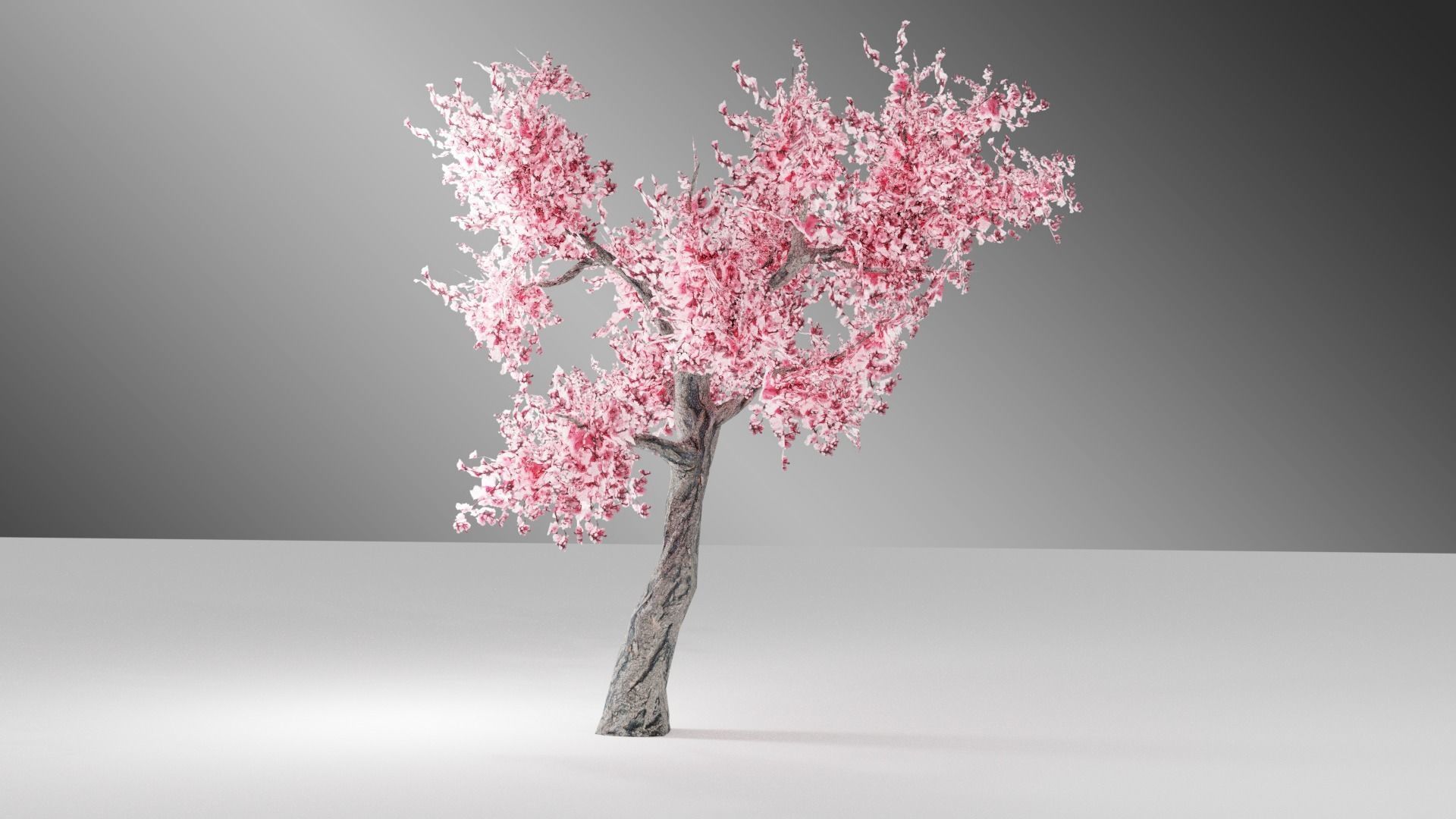 3D model Sakura Tree VR / AR / low-poly | CGTrader
