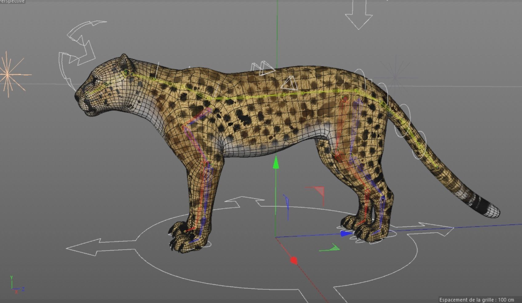 Cheetah 3D model High Detailed Rigged and Textures 3D model rigged ...