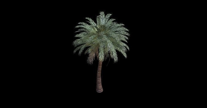 3D model Animated Date Tree 3d Game Props VR / AR / low-poly rigged ...