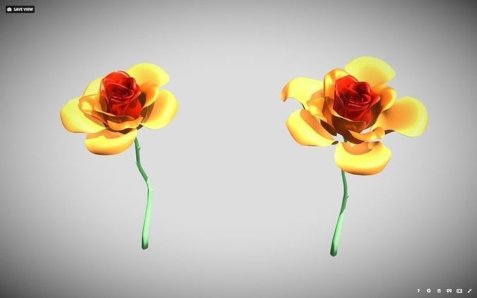 Rose simple and blowed 3D model | CGTrader