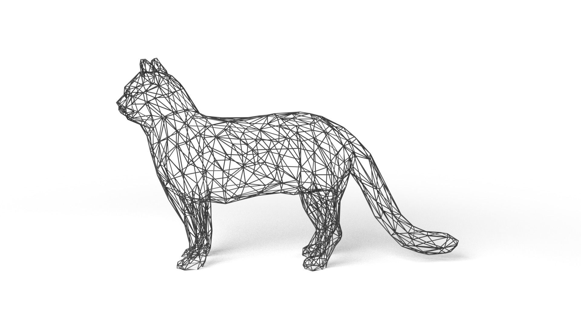 3D model Cat Wireframe VR / AR / low-poly | CGTrader
