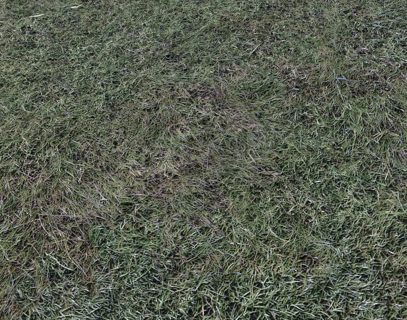 Dark grass textures Texture | CGTrader