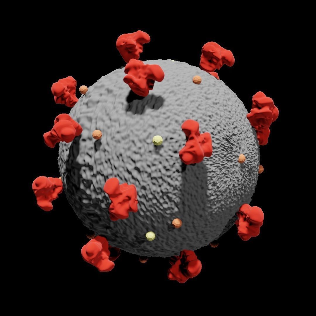 Corona model | CGTrader