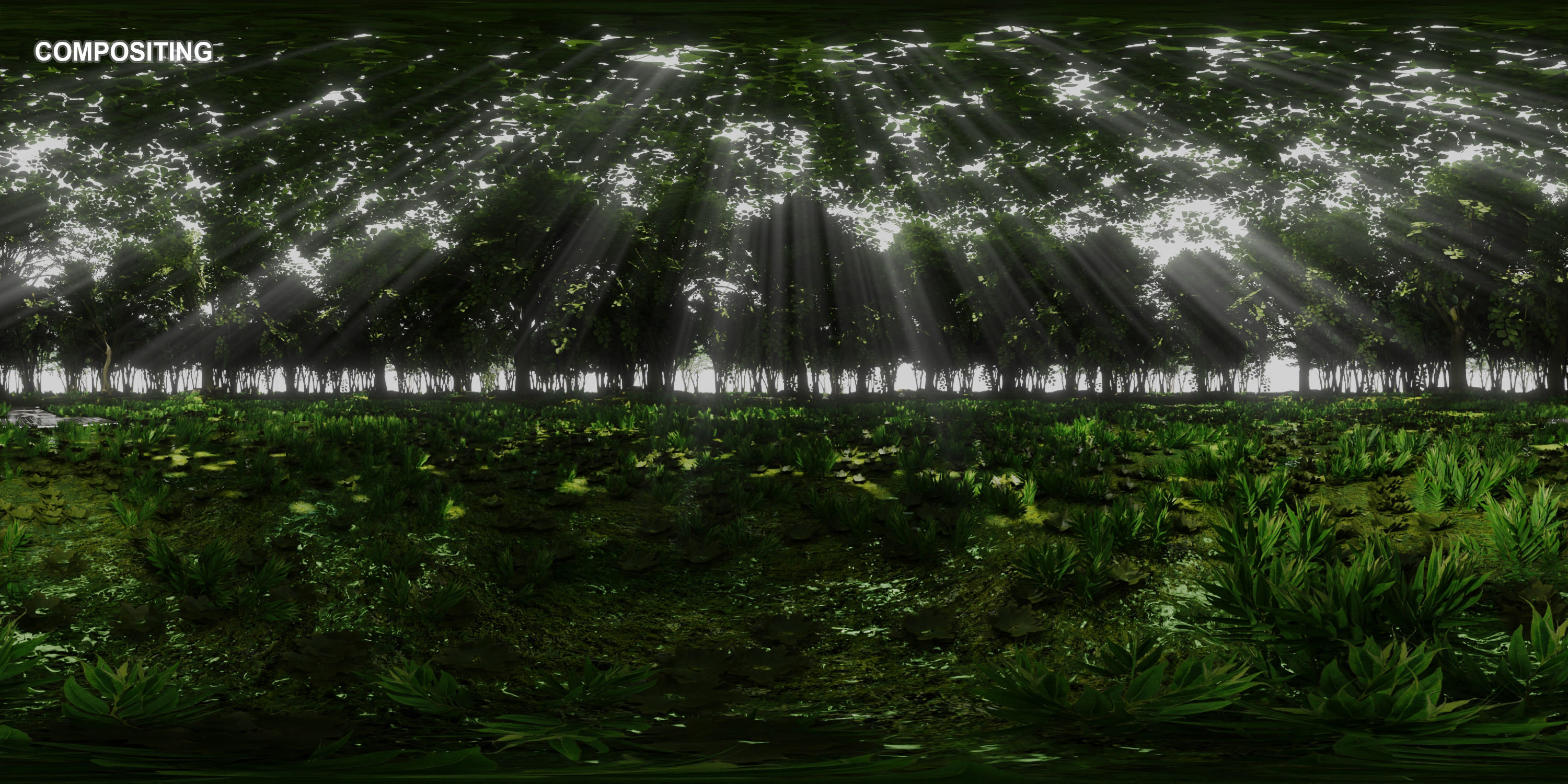 3D model Swamp VR / AR / low-poly | CGTrader