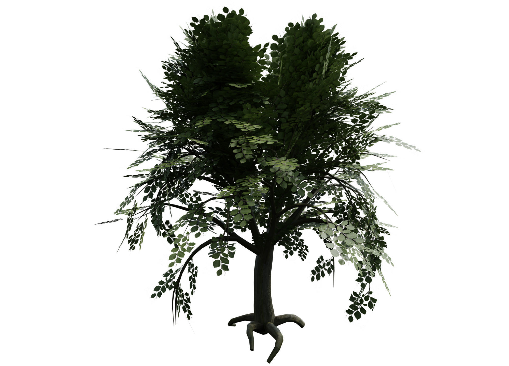 3D model Swamp forest VR / AR / low-poly | CGTrader