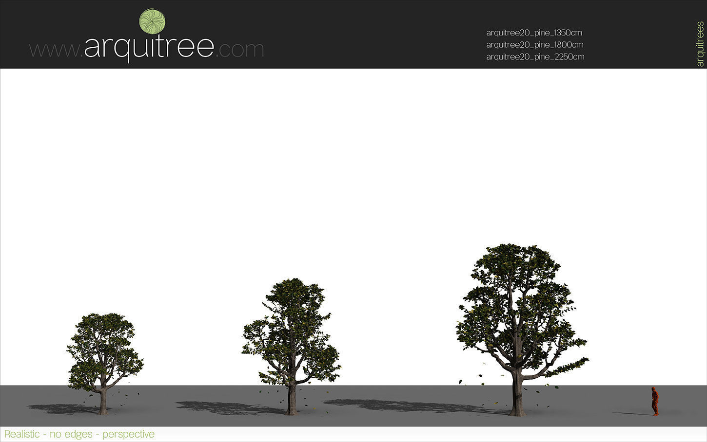 Revit scalable and detailed tree arquitree22 detailed 3D model | CGTrader