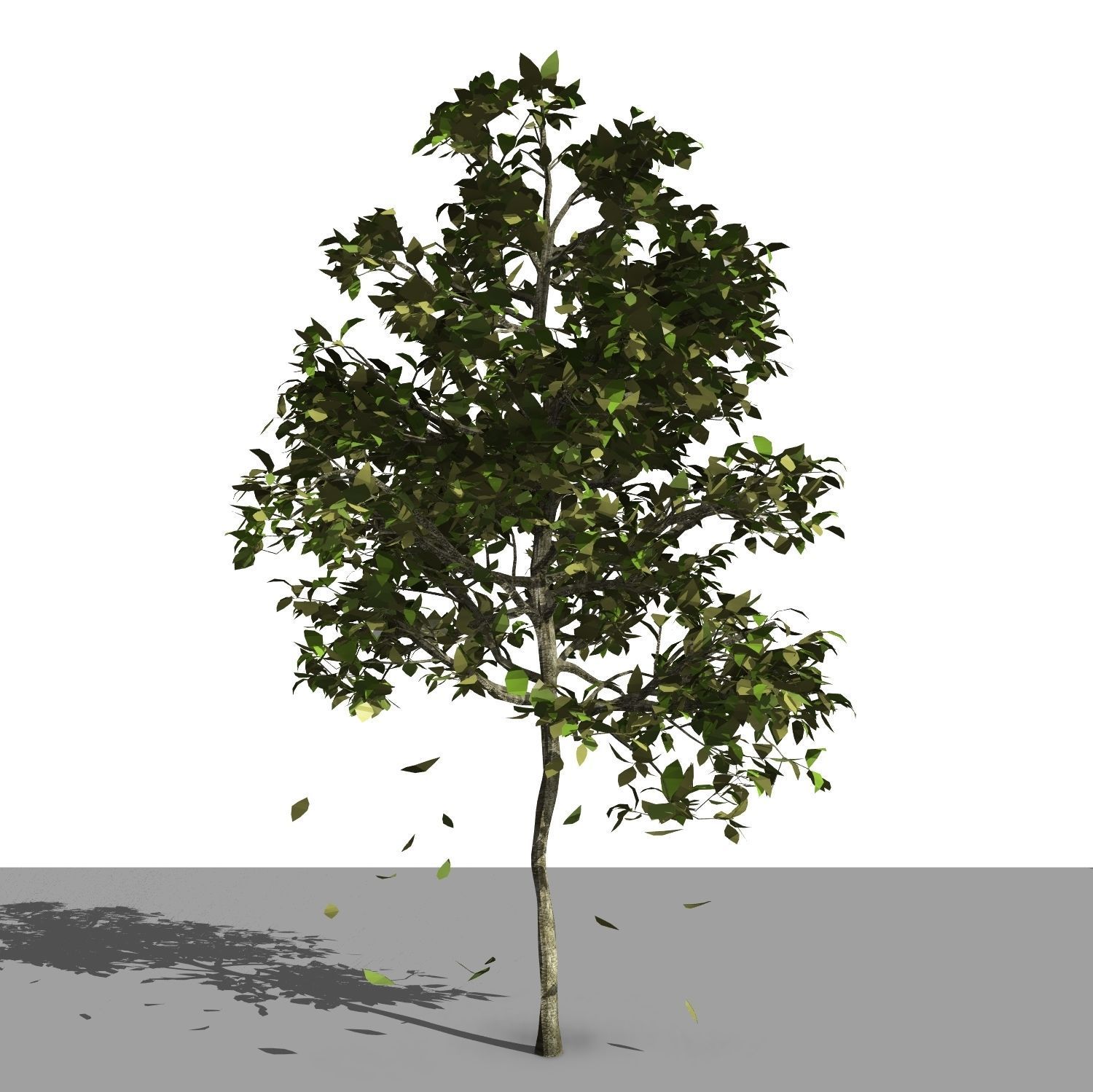 Revit scalable and detailed tree arquitree07 detailed 3D model | CGTrader