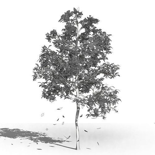 Revit scalable and detailed tree arquitree07 detailed 3D model | CGTrader