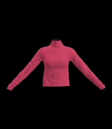 Stylish Designer High Neck Top 3D model free 3D model | CGTrader