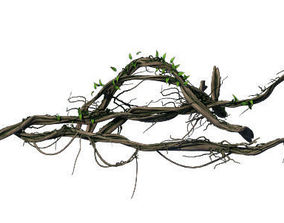 Vine 3D Models | CGTrader