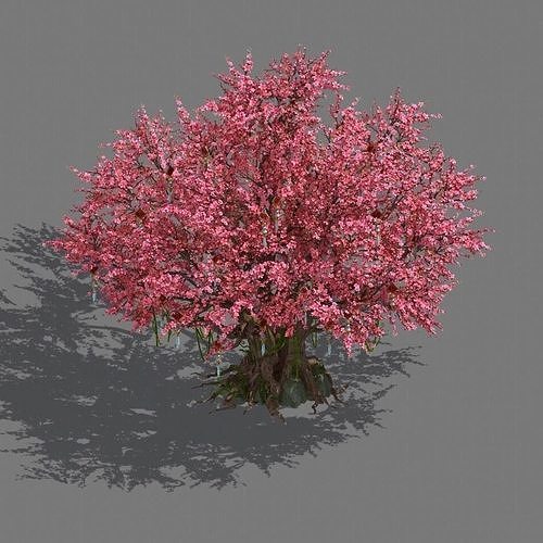 Daughter village plant - center big peach tree 01 3D model | CGTrader