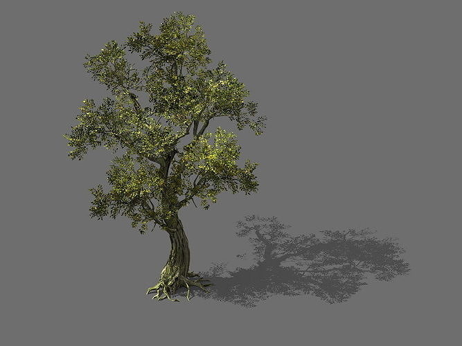 Game Model - Forest - Tree 01 3D model | CGTrader