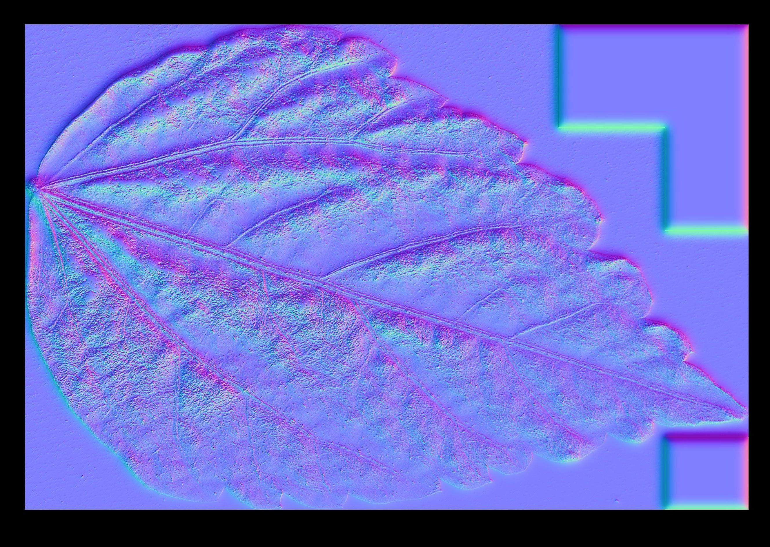 3D model twig with leaves VR / AR / low-poly | CGTrader