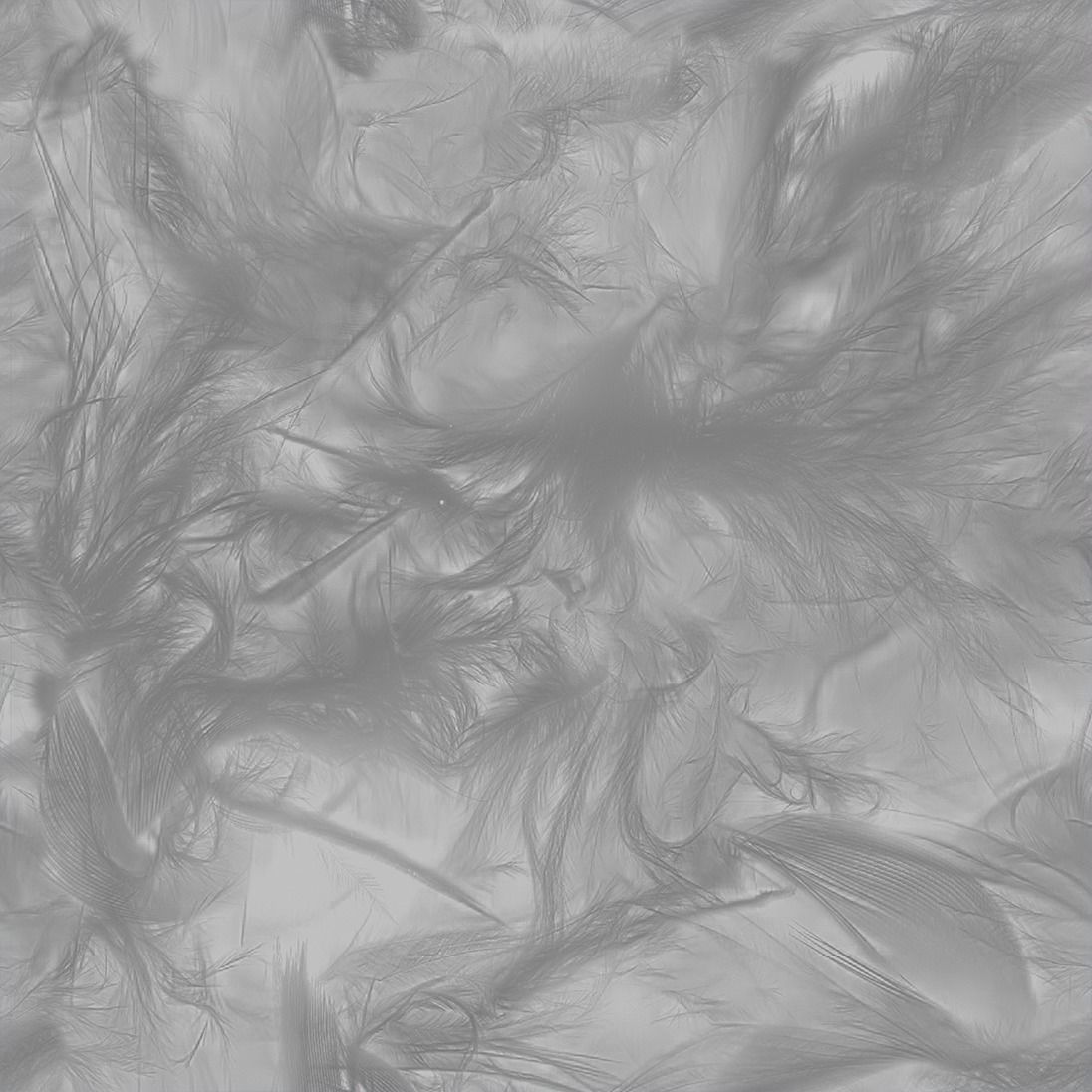 feather PBR material free VR / AR / low-poly 3D model | CGTrader